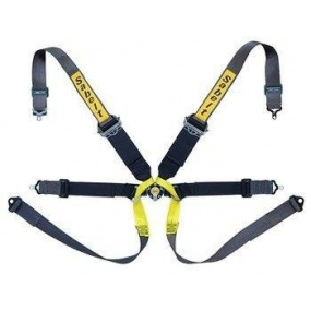 Pasy Sabelt Formula Gold 6-punktowe (CCG652FNU) FIA ...